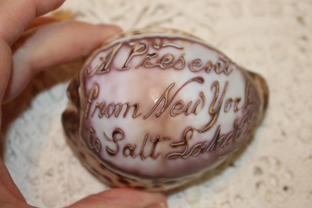 Antique Hand Carved Cameo Cowrie Shell Souvenir New York to Salt Lake ...