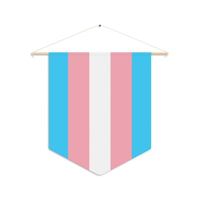 Trans Flag - Transgender Pride Banner - LGBT Wall Hanging - Queer Home ...