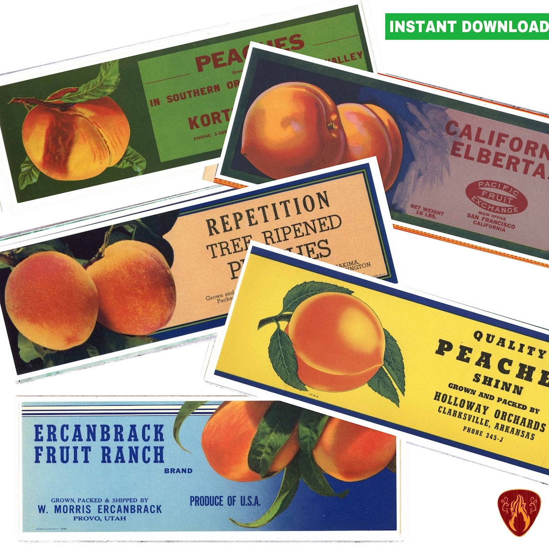 Vintage Peach Can Labels Set of 5 Printable Digital Food Label Fruit ...
