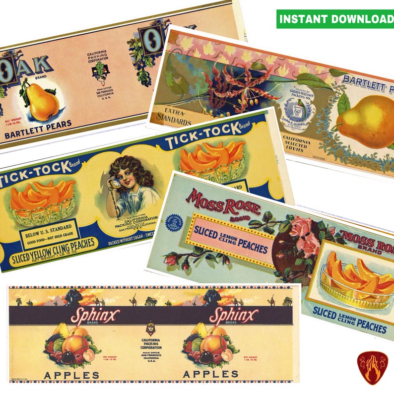 Vintage Fruit Can Labels Food Tin Cans Prints Kitchen Decor - Etsy UK