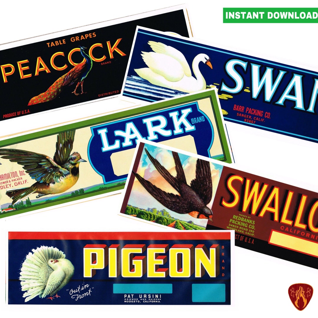 Printable Vintage Food Tin Can Labels With Birds, Fruit and Vegetable ...