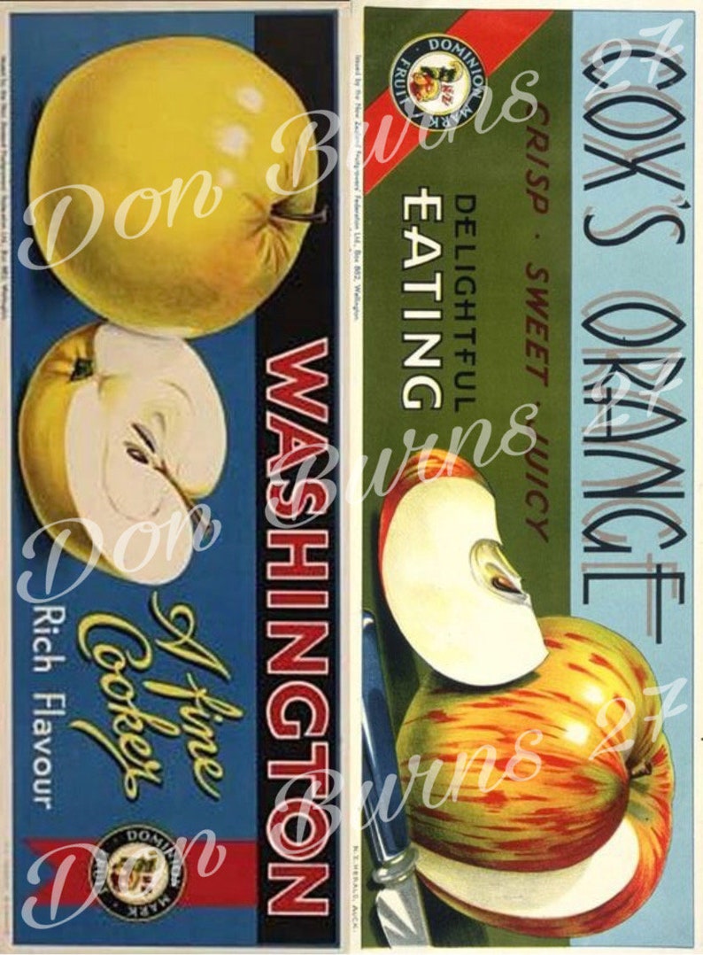 Set of 10 Printable Vintage Fruit Tin Can Labels Digital Food Label ...