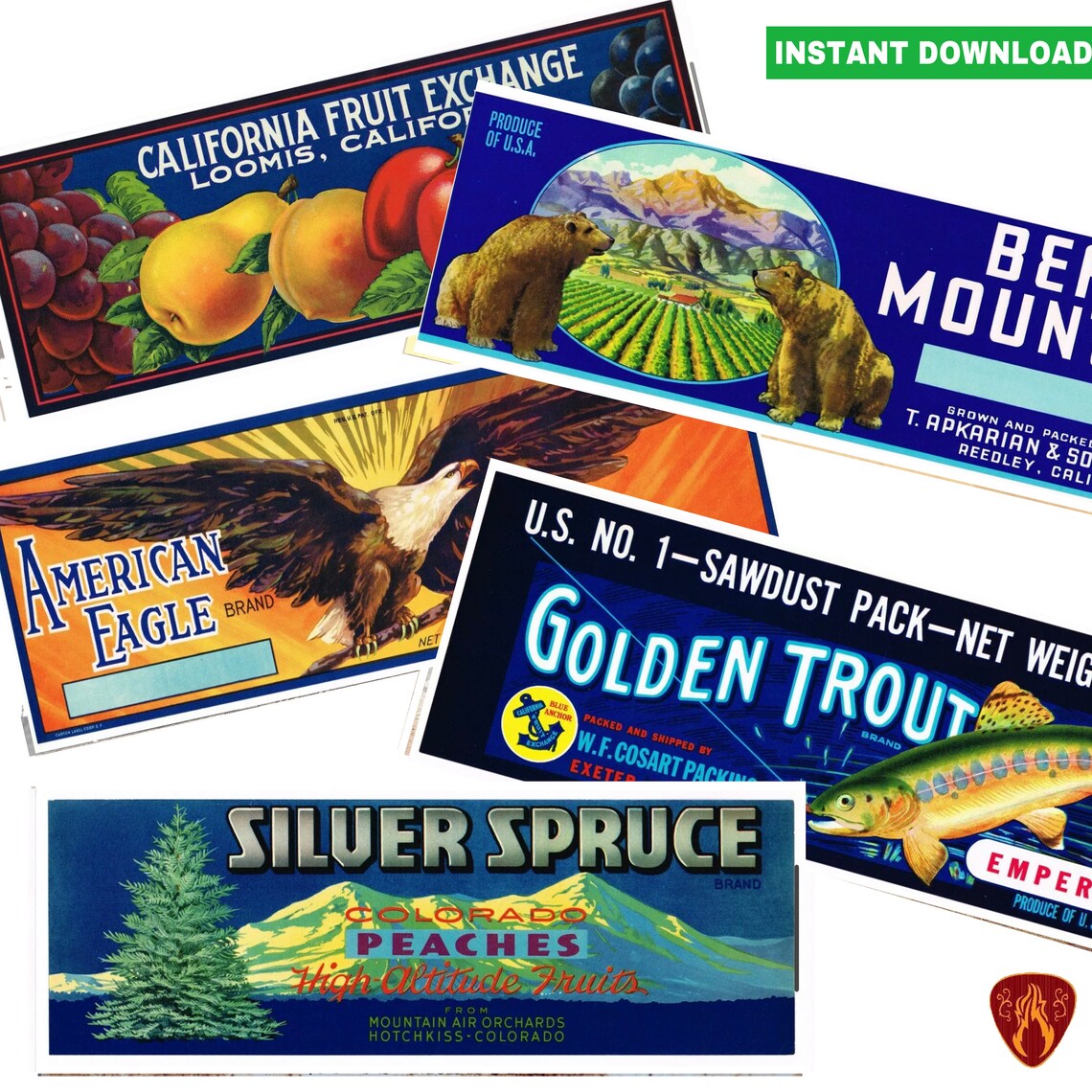 Vintage American Food Labels Tin Can Fruit Labels USA Kitchen Decor ...