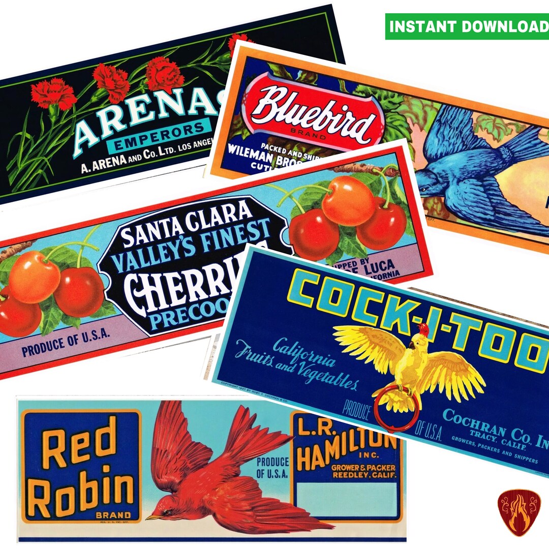 Bright Food Labels Colourful Bird Labels Label USA Tin Can Kitchen ...