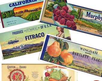 Vintage Fruit Can Labels Food Tin Cans Prints Kitchen Decor - Etsy UK