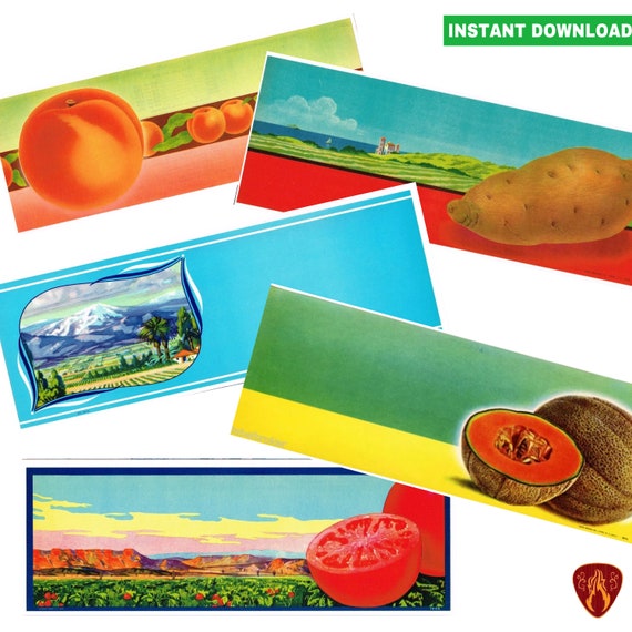 5 Blank Vintage Fruit Labels Tin Can Food Blank Prints Kitchen - Etsy
