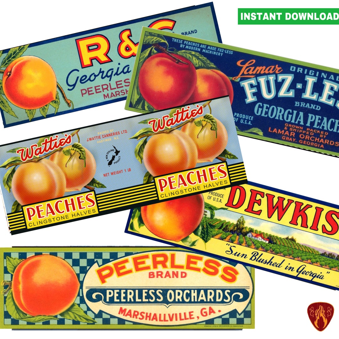 Peach Can Labels Set of 5 Printable Digital Food Label Fruit ...