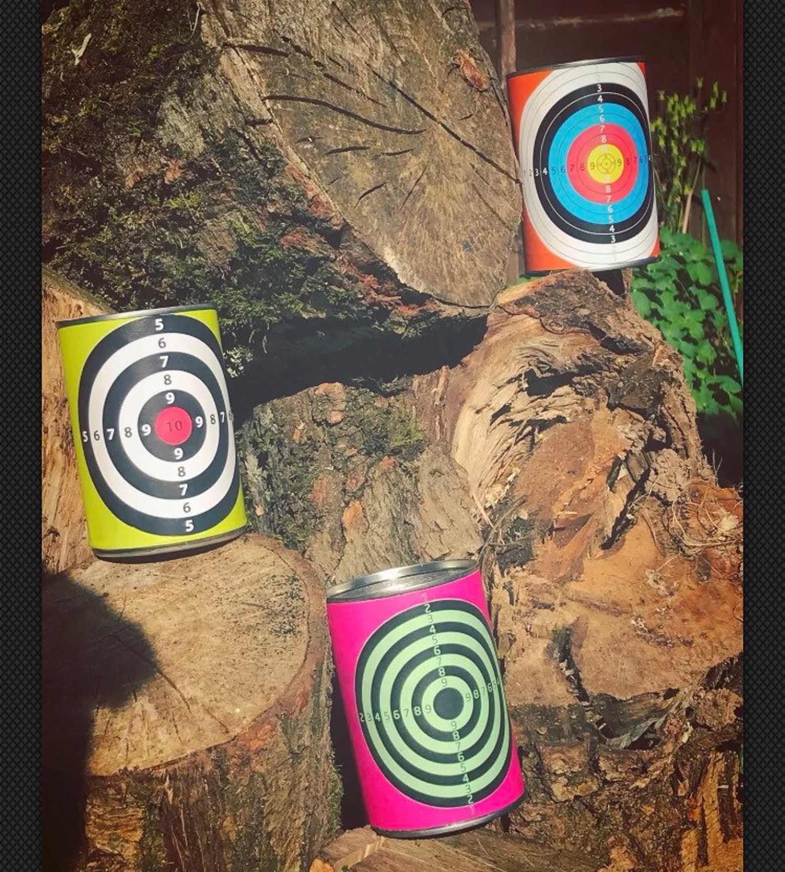Shooting Target Labels for Tin Cans BB Gun Pellet Nerf Gun - Etsy