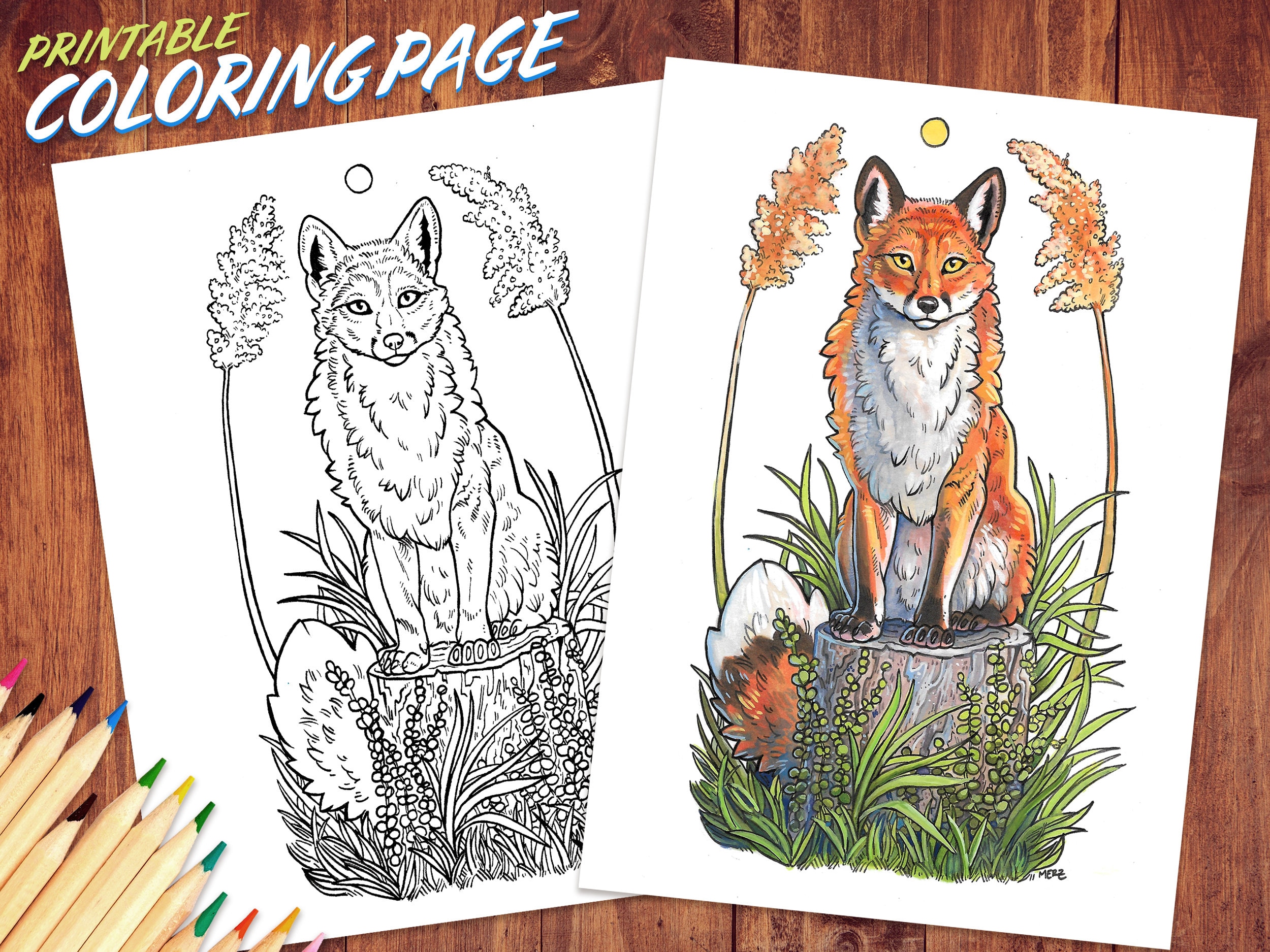 Spring Fox Coloring Page Printable Coloring Page Digital Download ...