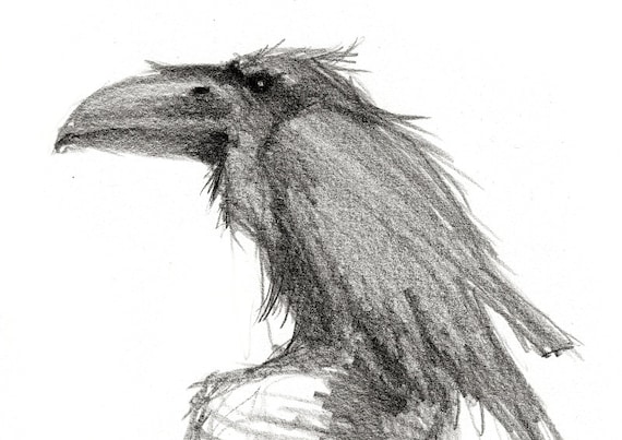 Munin Rabe Raven Fine Art Giclèe | Etsy