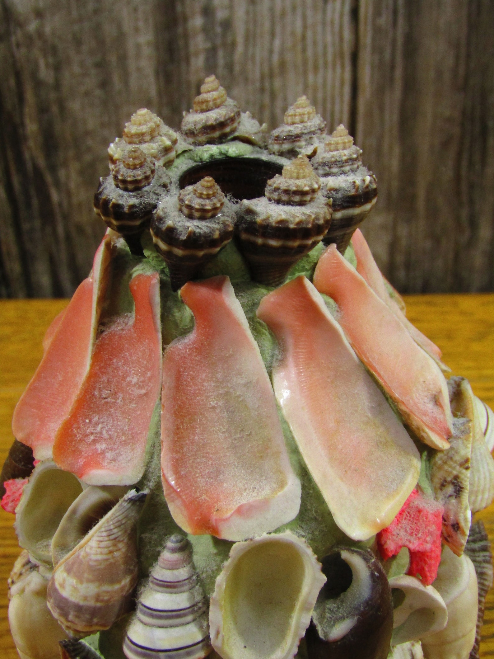 2 Pieces of Seashell Art VASE and BOX - Etsy