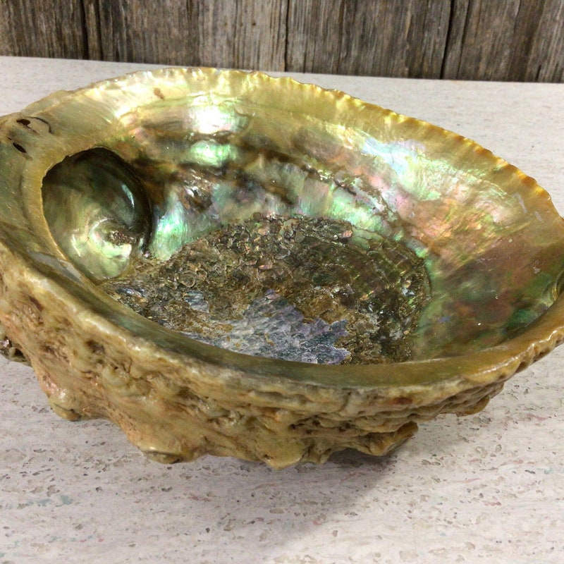 TollBranchFarm - Etsy