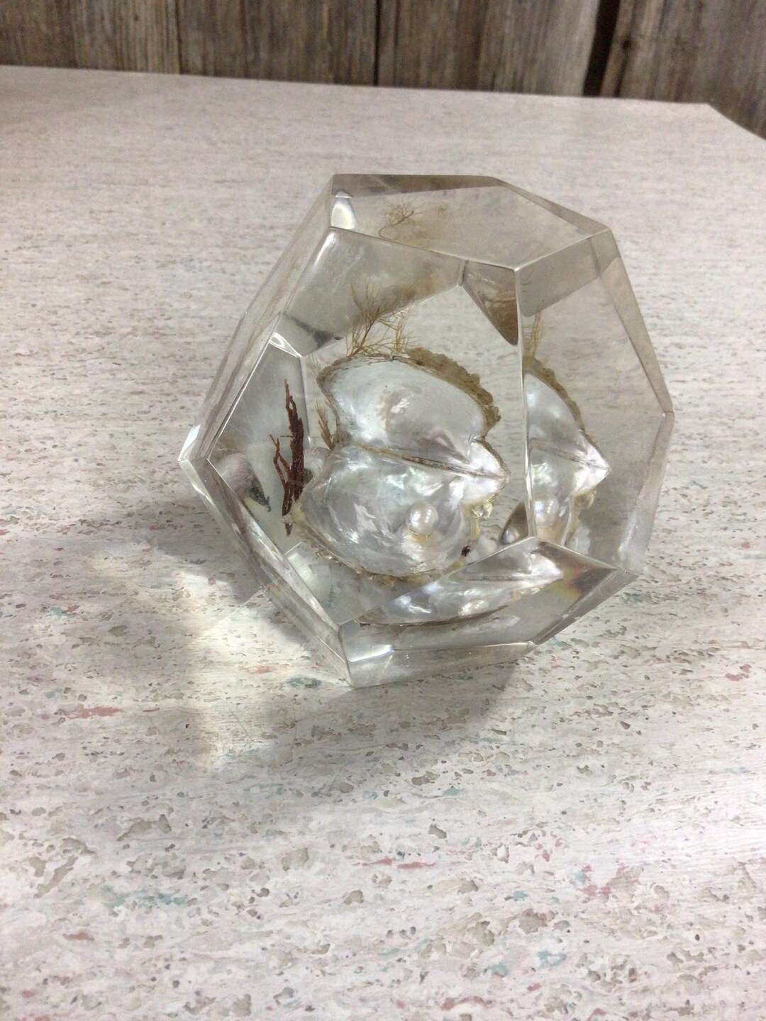 Retro Lucite Paperweight With Oyster and Pearl - Etsy