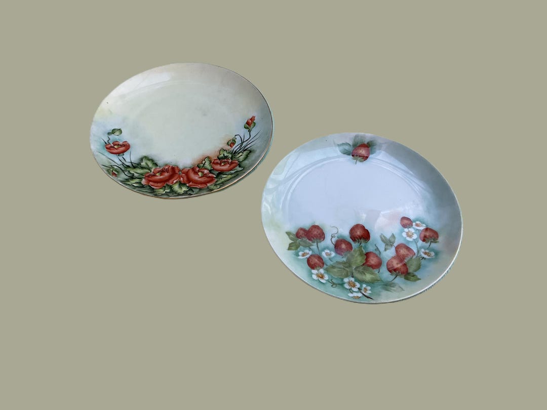 2 Hand Painted China Plates - Etsy