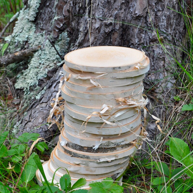 White Birch Logs - Etsy
