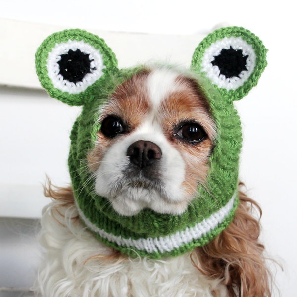 Frog Hats for Dogs - Etsy