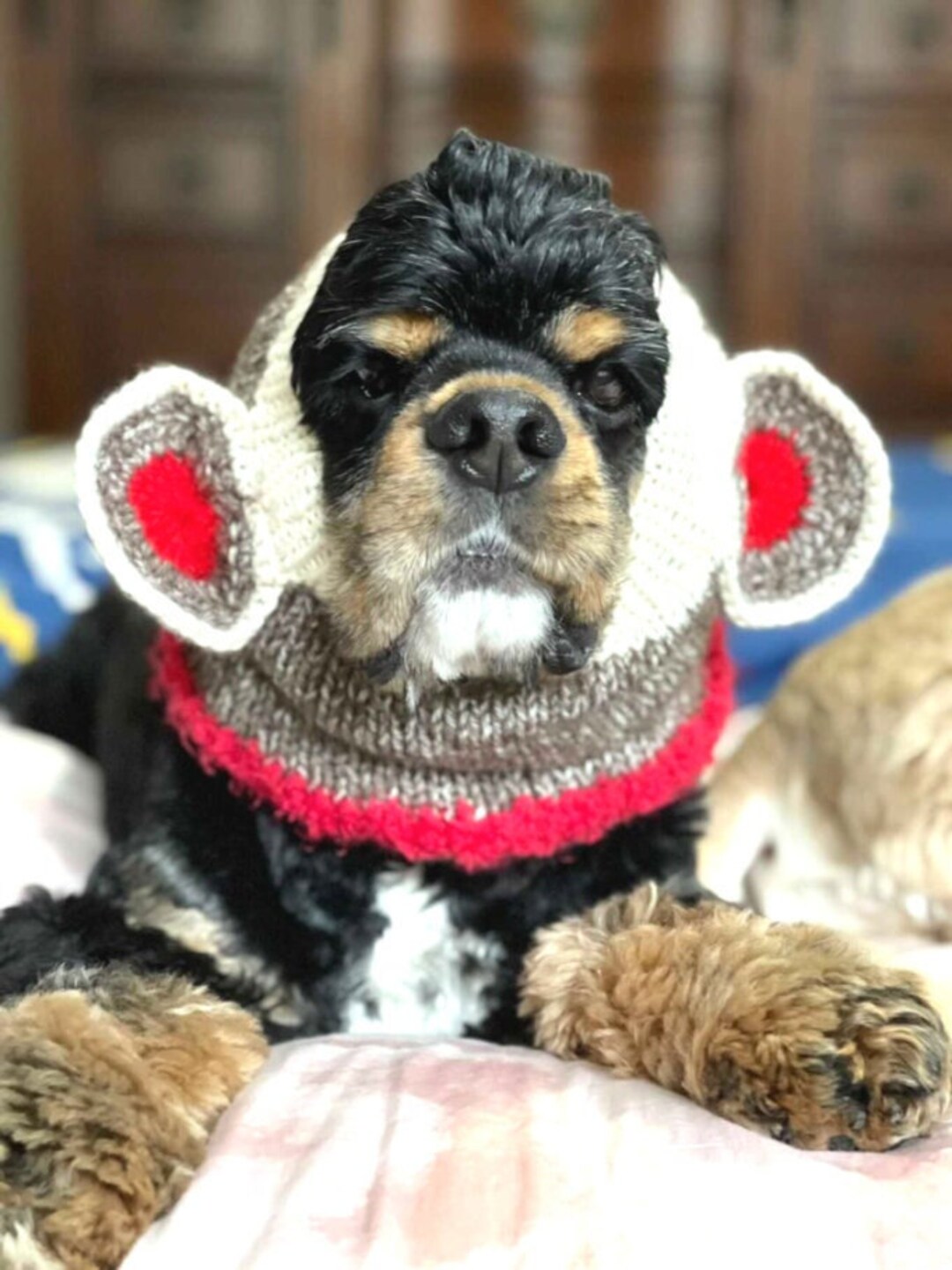 Sock Monkey Dog Snood Hand Knit Long Ear Covering Cold Weather Snood 3 ...