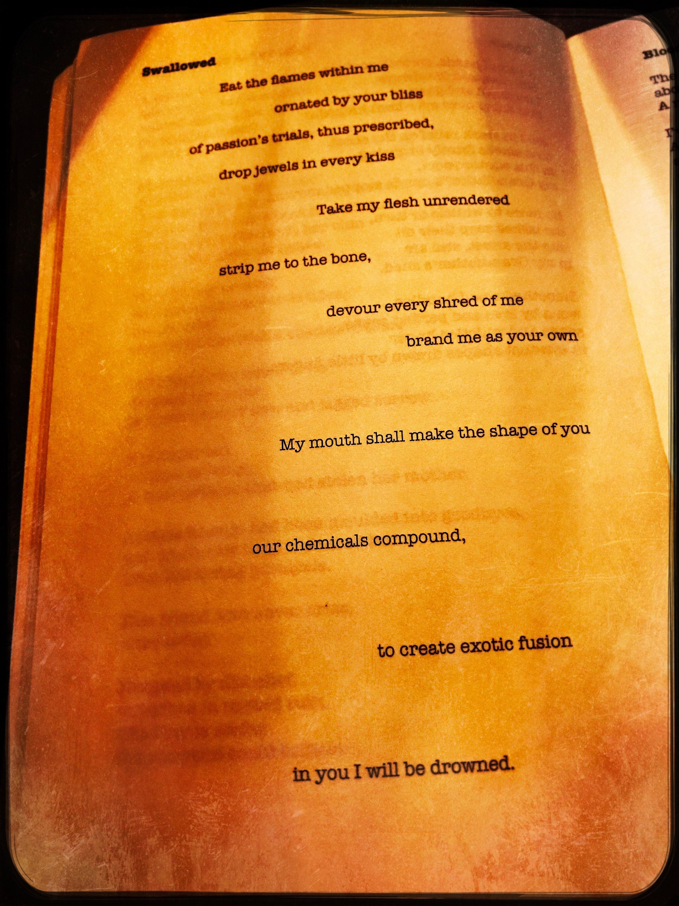 The Wrecked Muscle: an Anthology of Poetry - Etsy