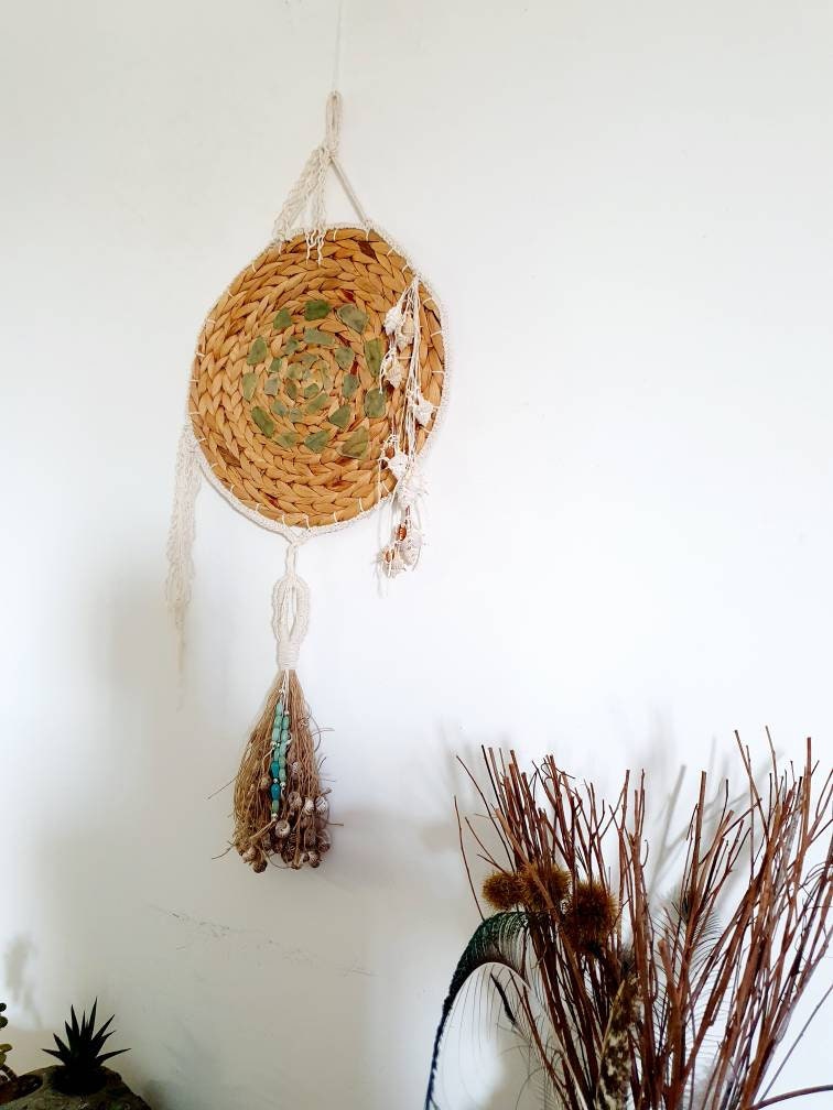 Neutral boho coastal wall decor beach theme seashells | Etsy