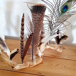 Boho Centerpiece Feather Display Natural Wood Stand Holder | Etsy