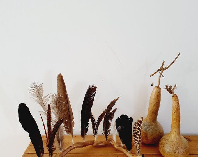 Boho Centerpiece, Feather Display, Natural Wood Stand Holder Natural ...