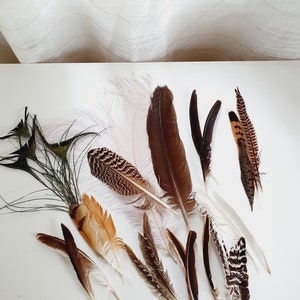 Boho Centerpiece Feather Display Natural Wood Stand Holder - Etsy