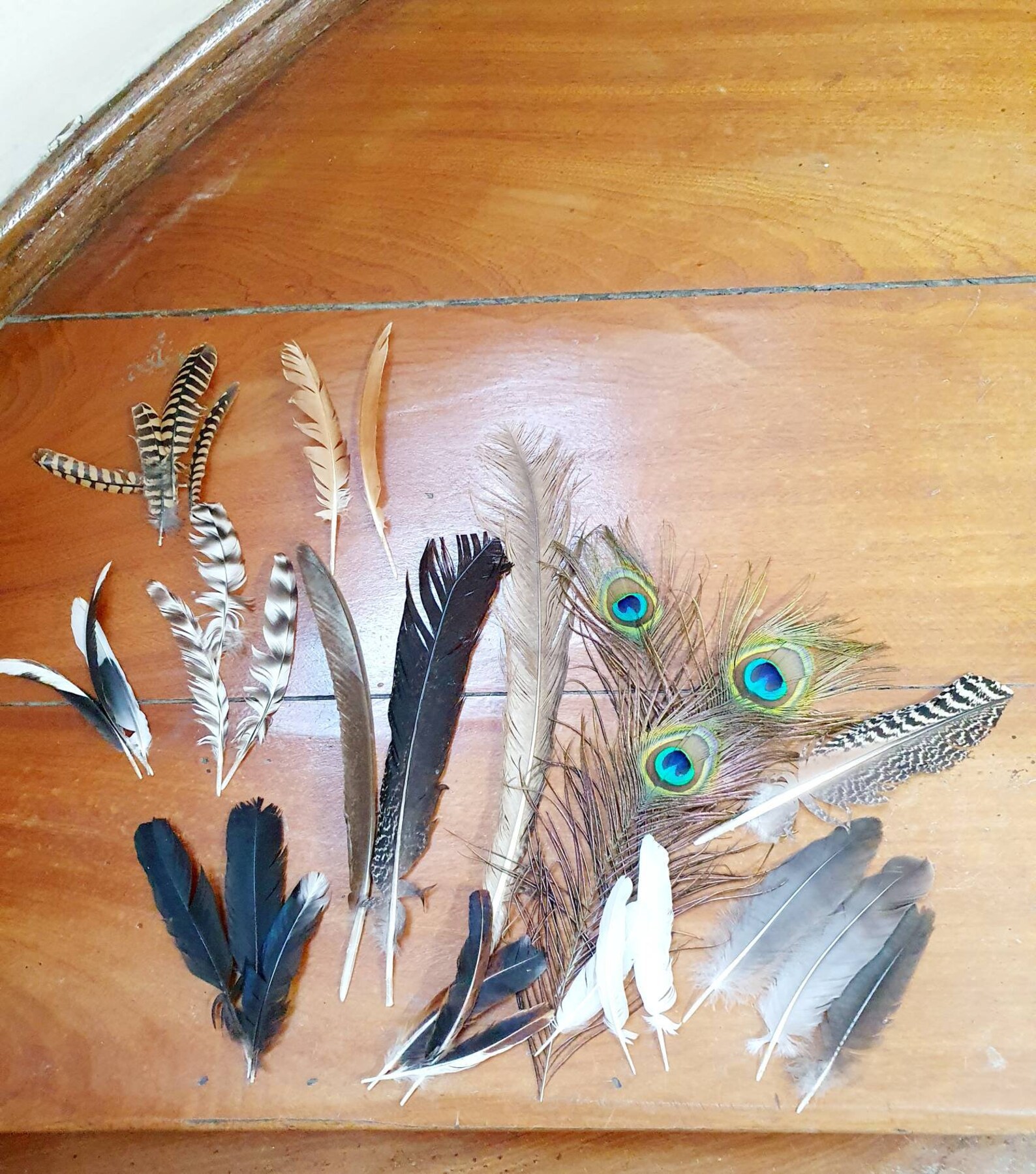 Boho Centerpiece Feather Display Natural Wood Stand Holder - Etsy
