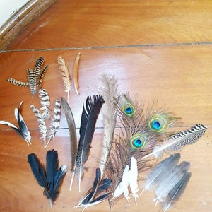 Boho Centerpiece Feather Display Natural Wood Stand Holder - Etsy