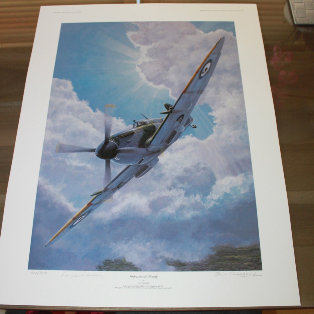Don Connolly - Unpassioned Beauty - Aviation Art - "spitfire" - Etsy Canada