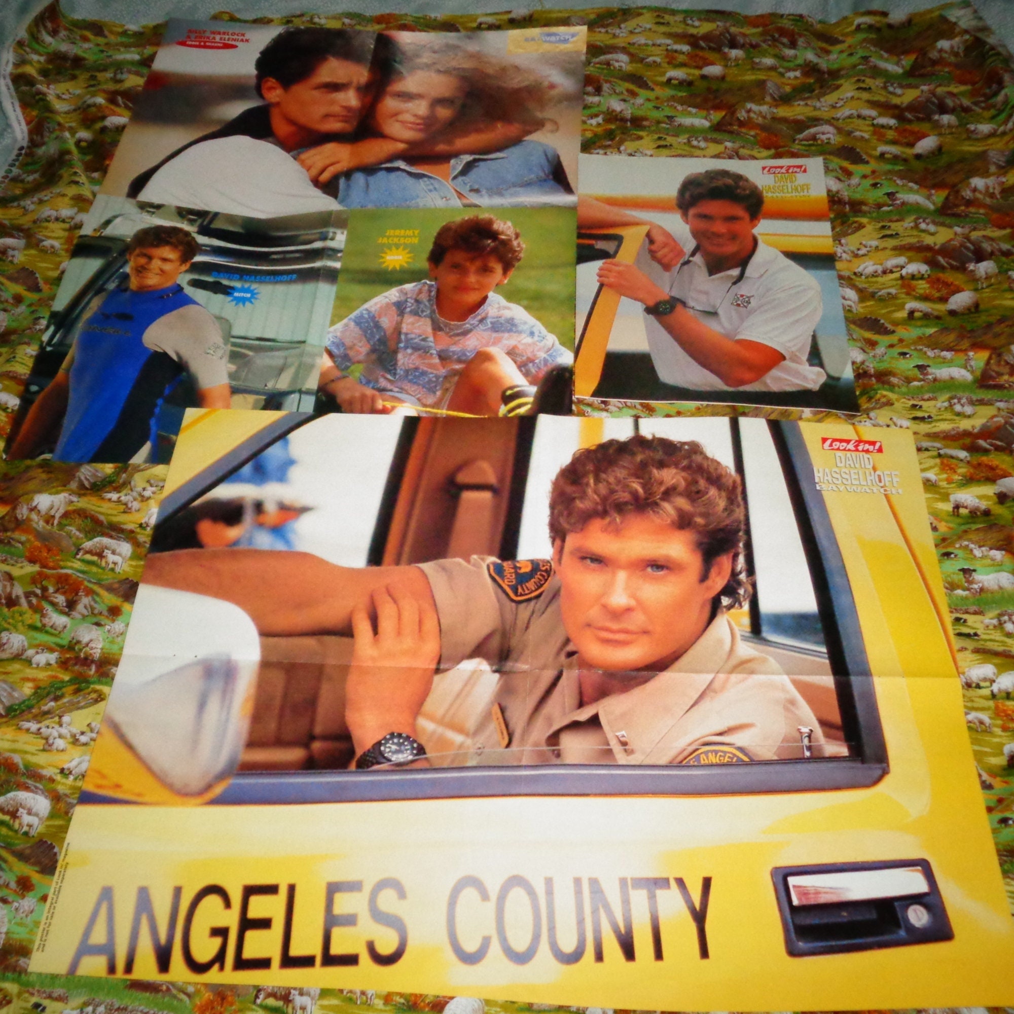 David Hasselhoff Baywatch Wallpaper