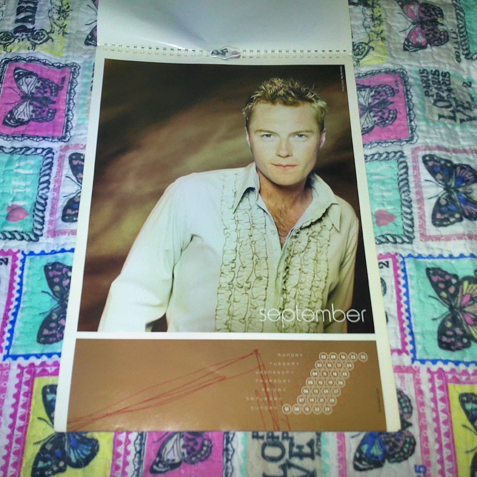 Ronan Keating 2002 Official Calendar Music Memorabilia Collectable ...