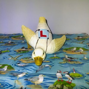 Rare Delightful Unique 'dizzy Ducks' Series 'learner' Duck Figurine the ...