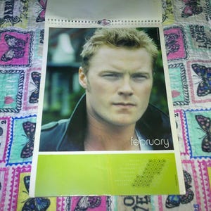 Ronan Keating 2002 Official Calendar Music Memorabilia Collectable ...