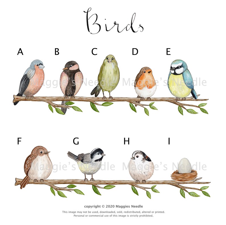 Personalised Illustrated Family Bird Art Print | Etsy