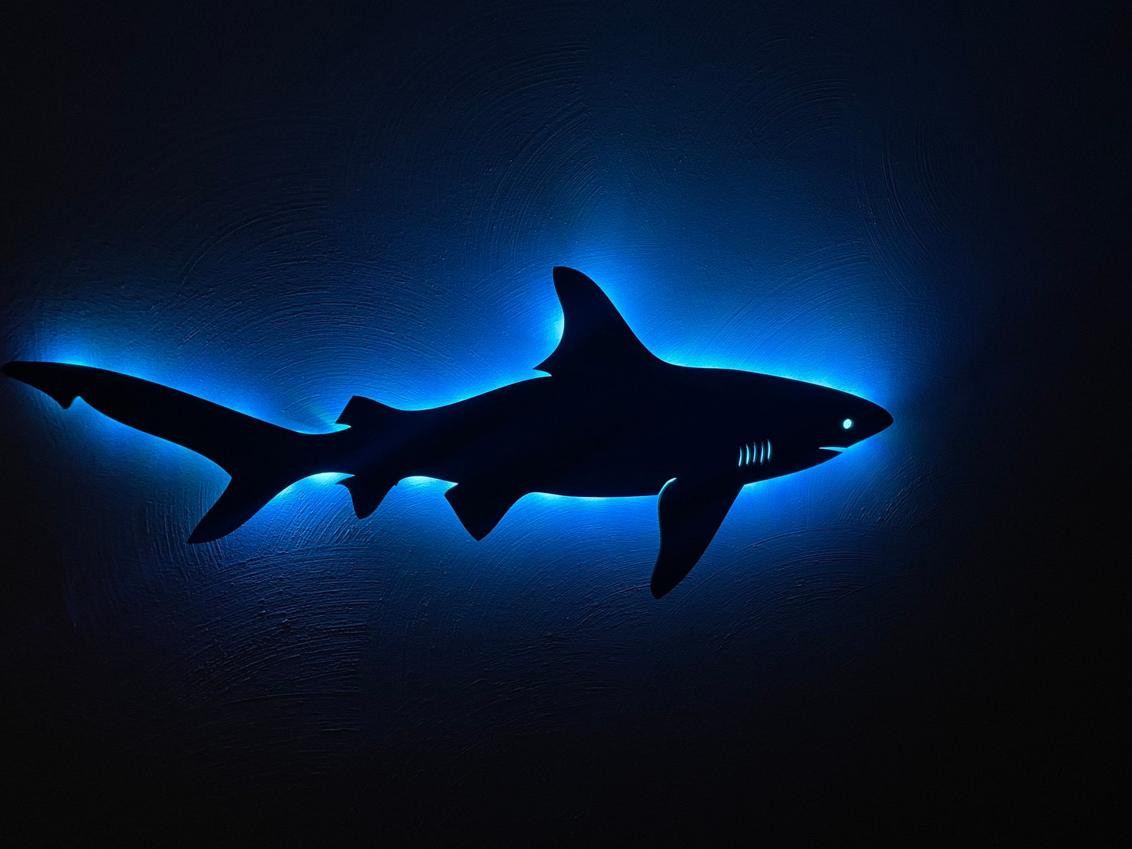 Lighted Shark Sign lit Backlit LED Light Regular or - Etsy