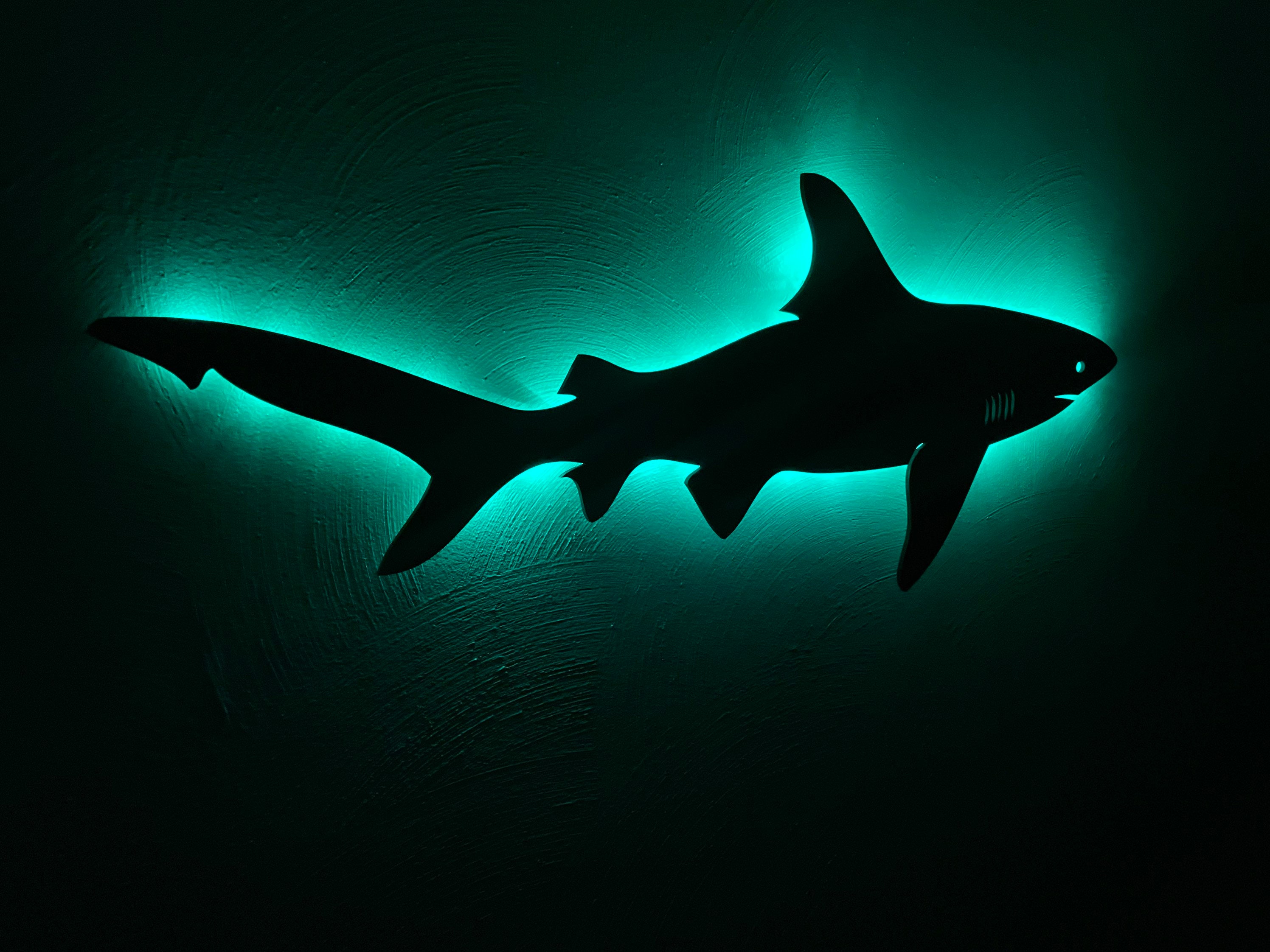 Lighted Shark Sign lit Backlit LED Light Regular or - Etsy Canada
