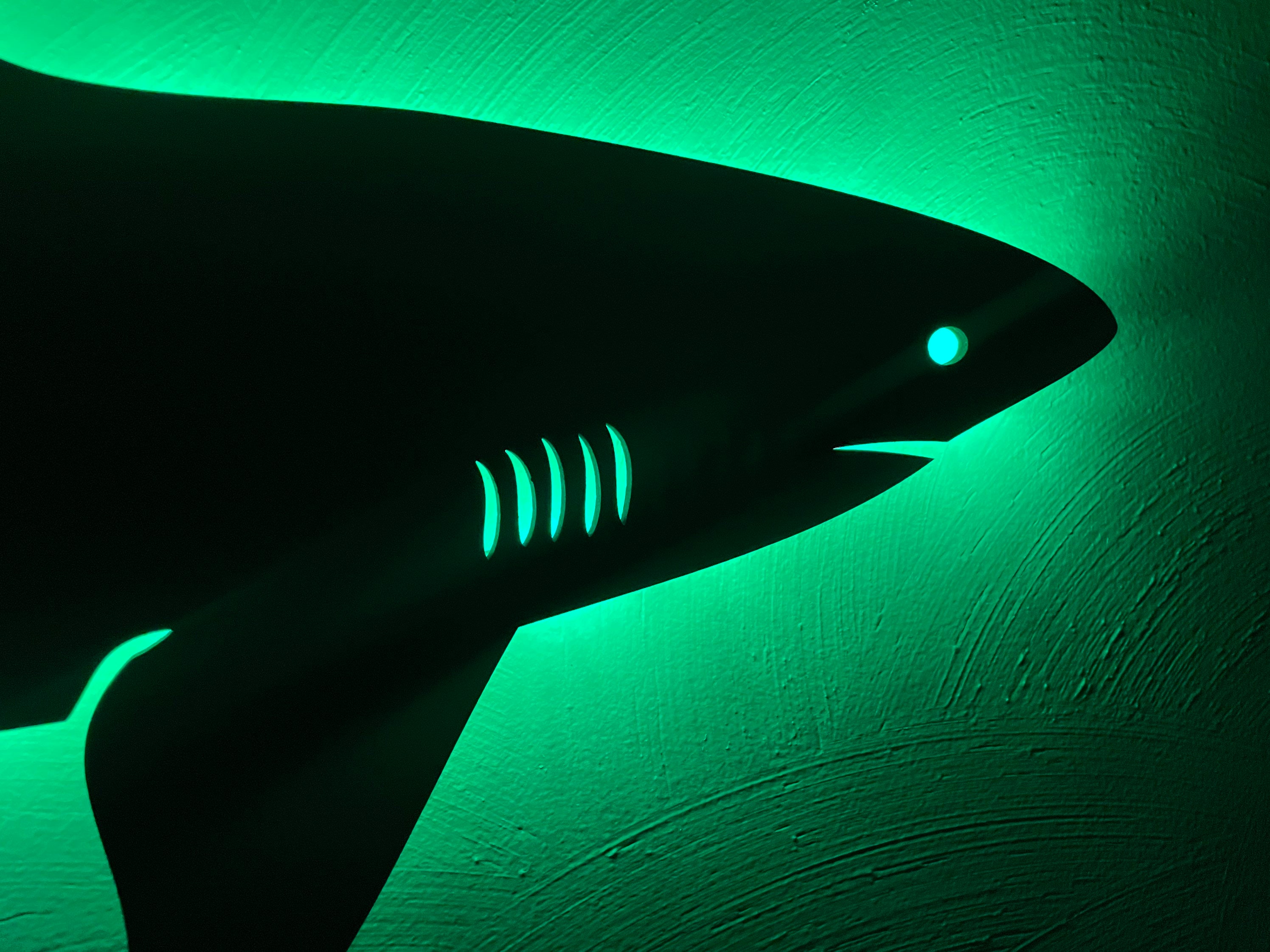 Lighted Shark Sign lit Backlit LED Light Regular or - Etsy Canada