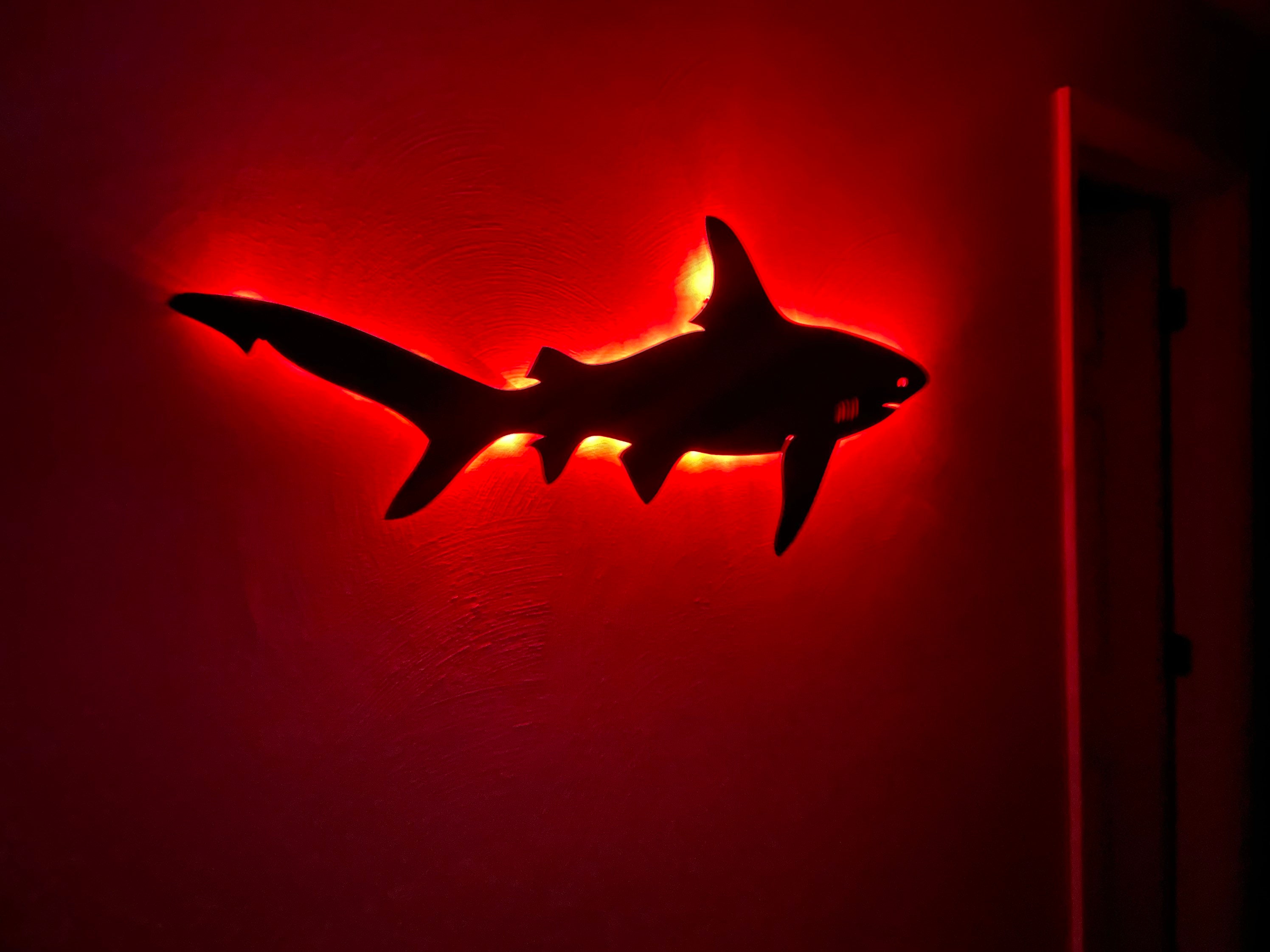 Lighted Shark Sign lit Backlit LED Light Regular or - Etsy Canada
