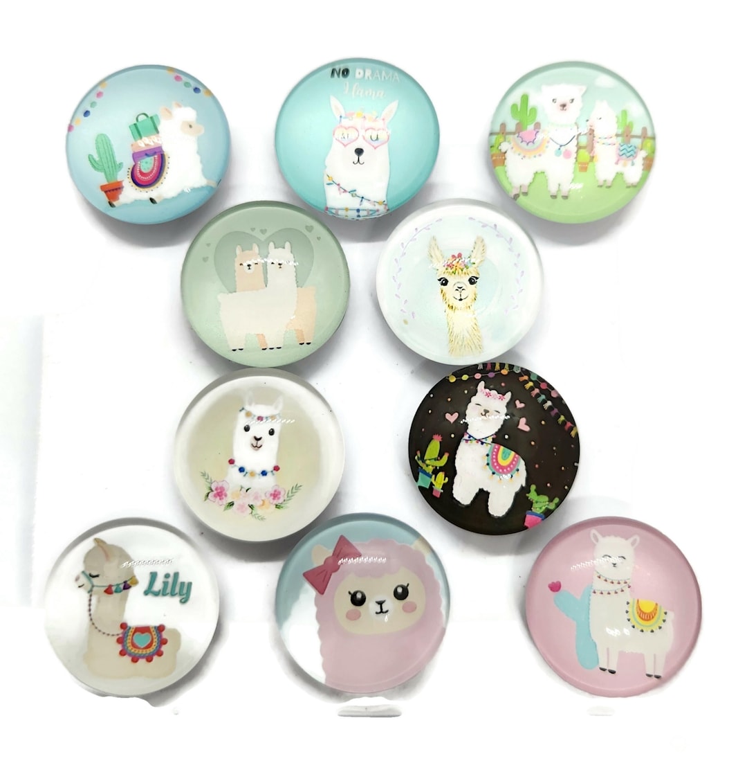 LLAMA Animal ART Glass Magnet Set - 10pc Handmade Decorative Memo Board ...