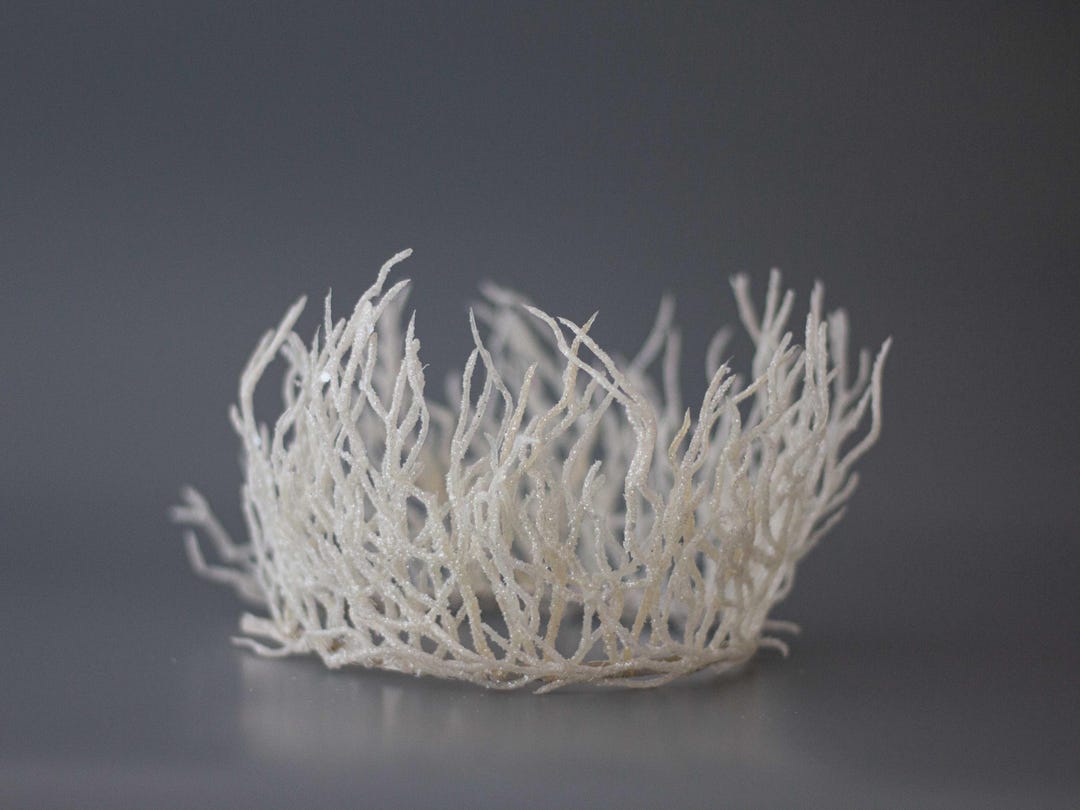 Ice Queen Winter Tiara, White Glitter Crown, Frosted Twig Headband ...