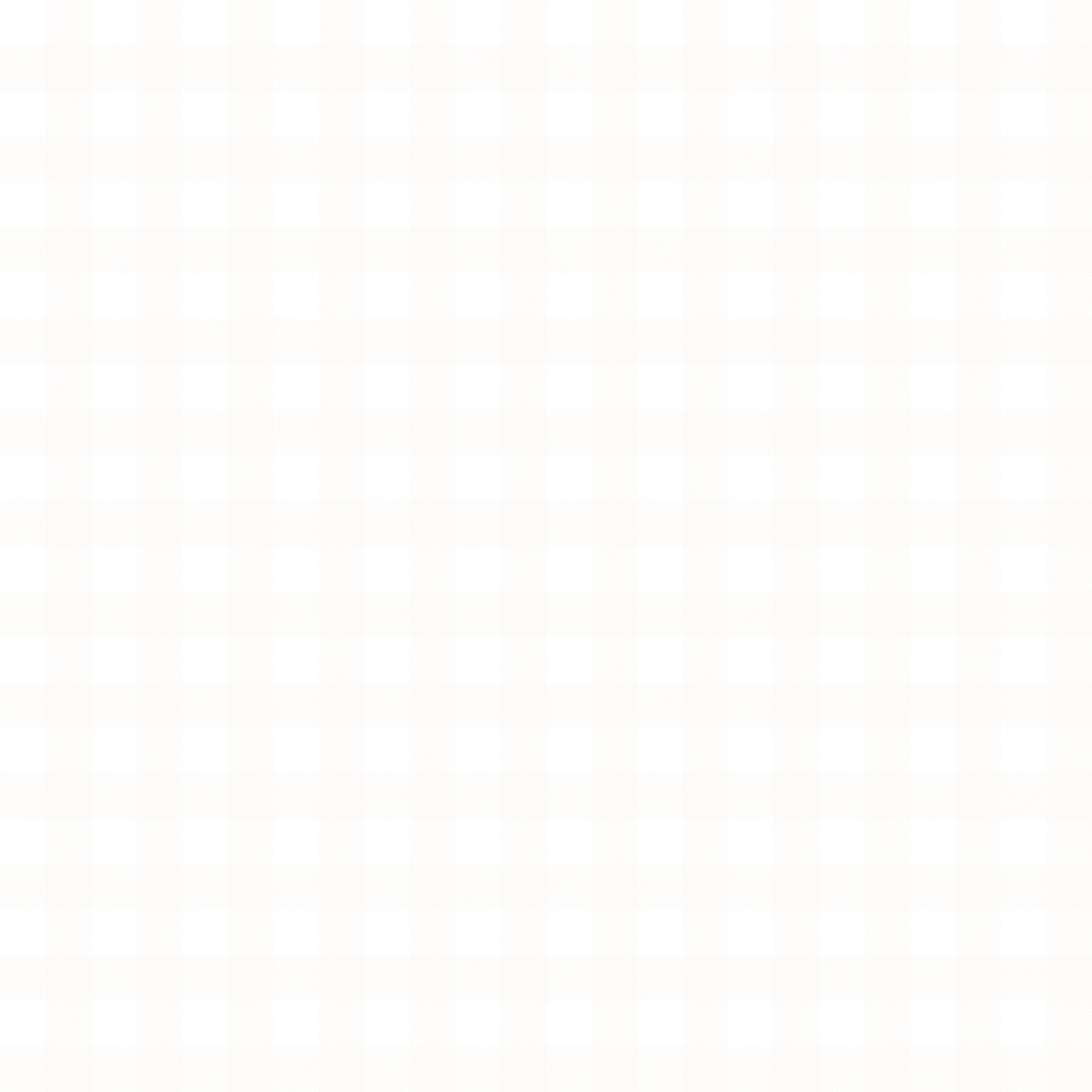 White Digital Paper, White on White Monochrome Background, White ...