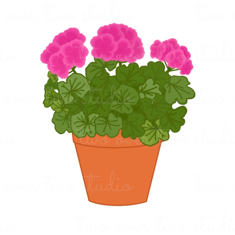 Geranium Clipart, Commercial Use, Simple Geranium SVG in Pink and Red ...
