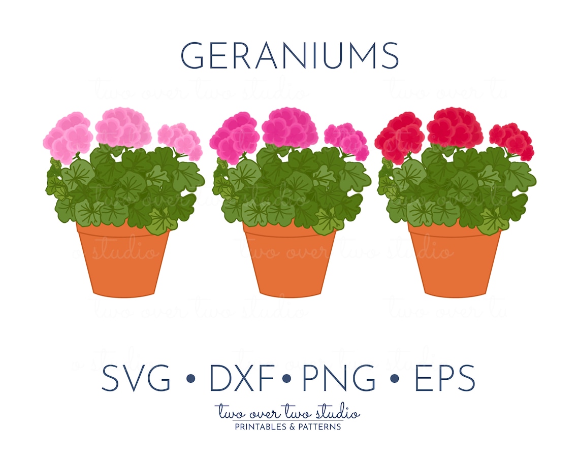 Geranium Clipart, Commercial Use, Simple Geranium SVG in Pink and Red ...