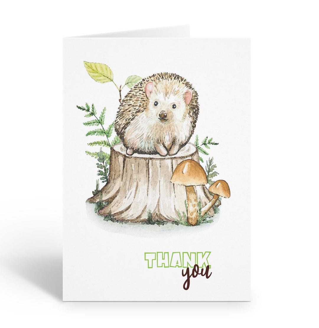 Cute Hedgehog Watercolor Thank You Note Cards - 10 Cards With Envelopes ...