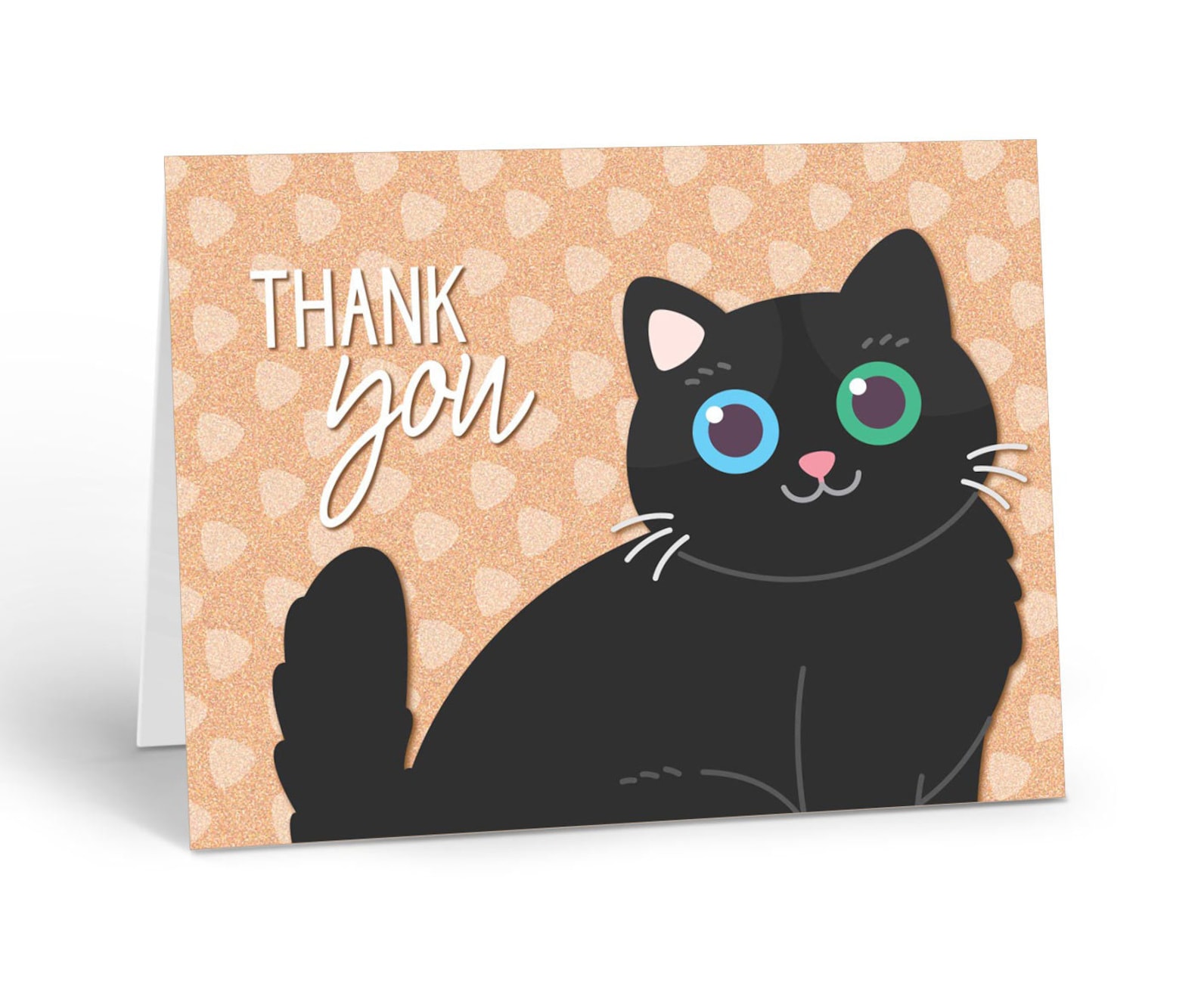 Assorted Cat Thank You Note Card - 12 Thank You Note Cards and ...