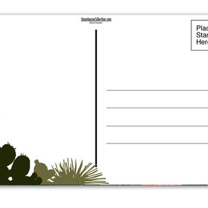 Cactus Bloom Postcards - 4 X 6 Western Desert Postcards - 40 Desert ...