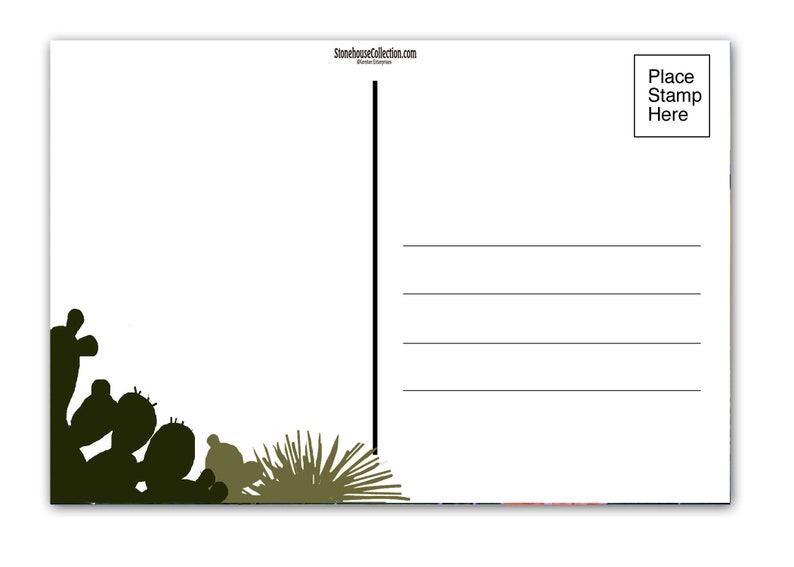 Cactus Bloom Postcards 4 X 6 Western Desert Postcards 40 - Etsy