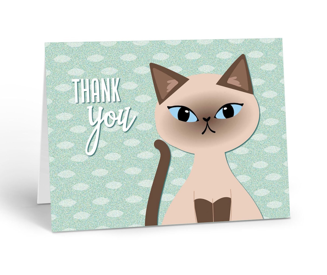 Assorted Cat Thank You Note Card - 12 Thank You Note Cards and ...