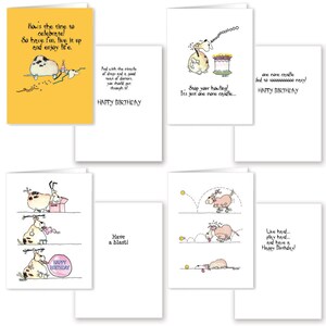 Assorted Funny Birthday Card Pack - 18 Boxed Funny Cards & Envelopes ...