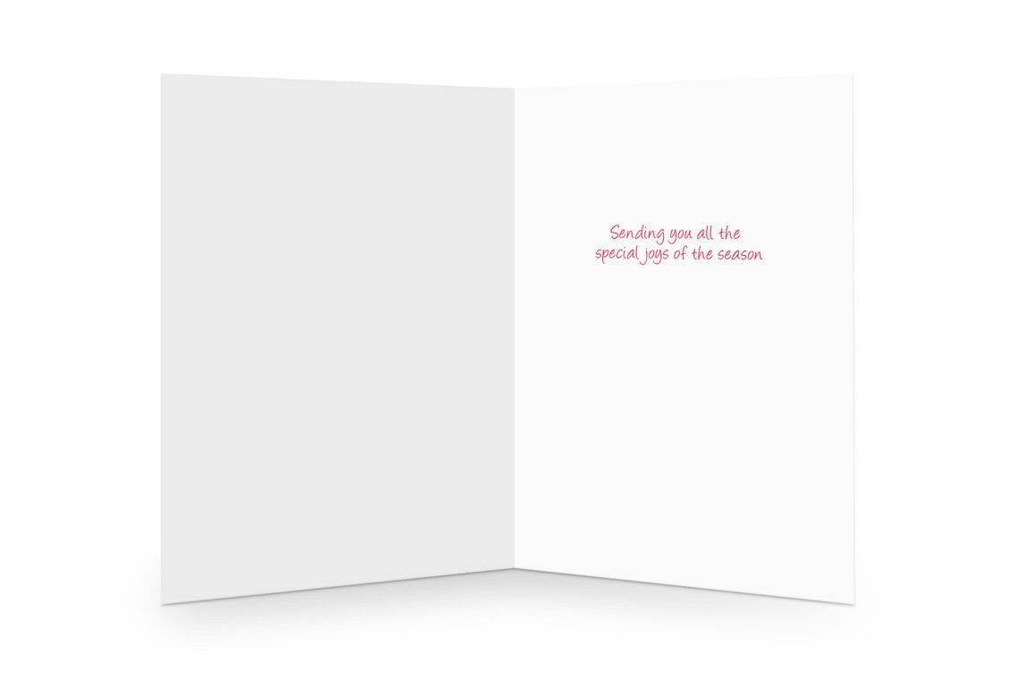 Drone Delivery 18 Funny Christmas Cards & Envelopes 20056a | Etsy